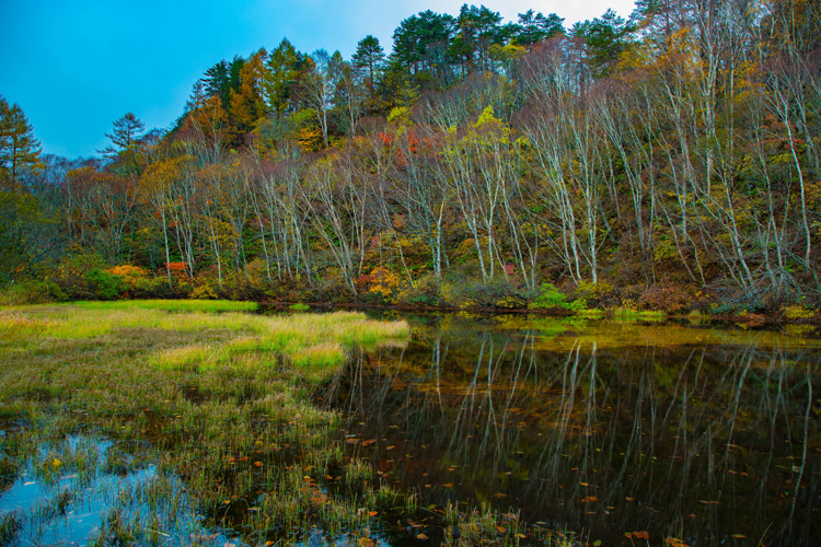 Akanuma Pond (copper coloured pond) – URABANDAI Travel Guide