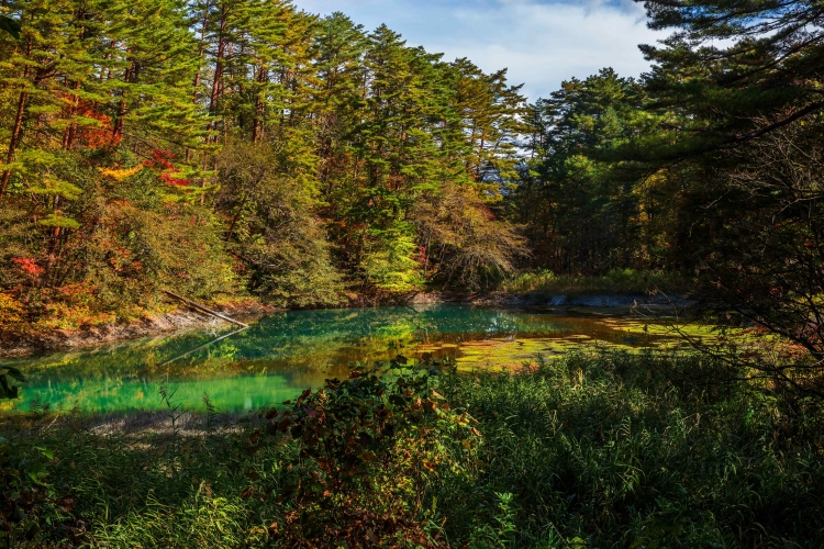 Goshikinuma Ponds – URABANDAI Travel Guide