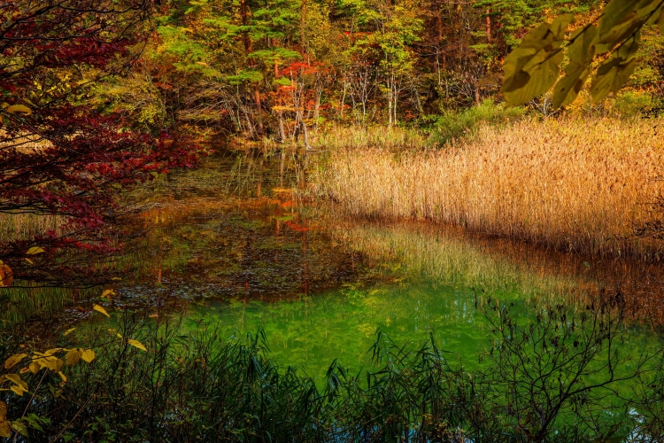 Goshikinuma Ponds – URABANDAI Travel Guide