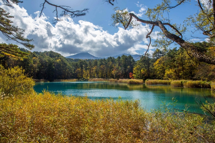 Goshikinuma Ponds – URABANDAI Travel Guide